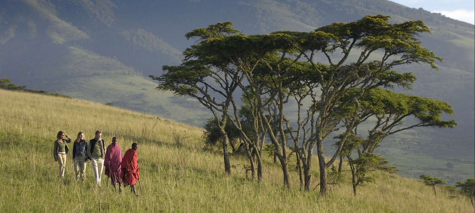 Lake Manyara Tree Top Walkway - Pulse
